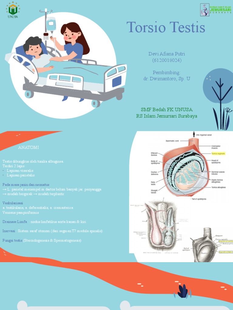 Devi - Tugas Harian Torsio Testis | PDF