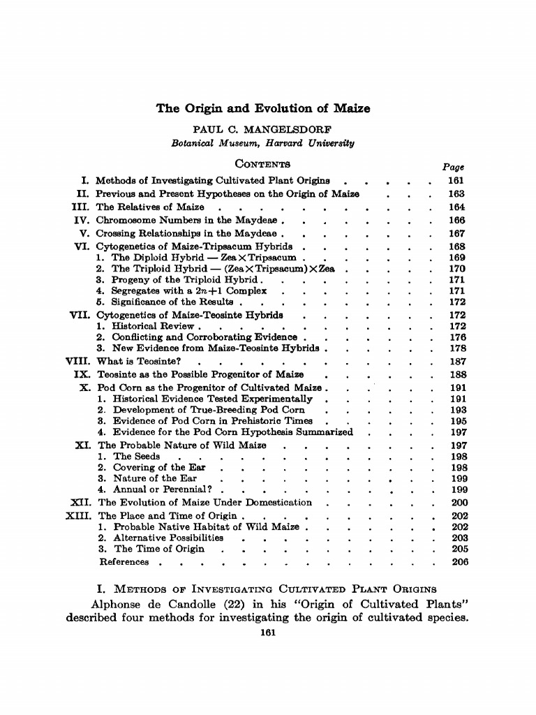 Evolution and Origins of Maize | PDF | Maize | Hybrid (Biology)