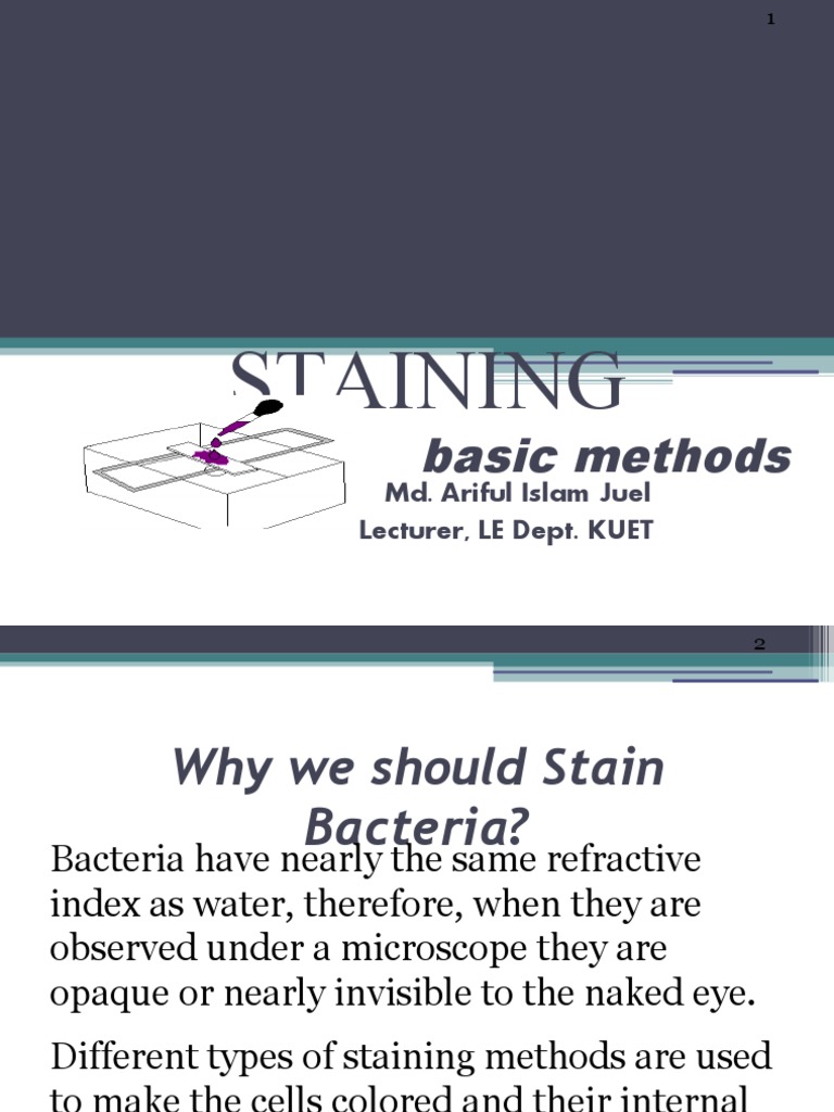 Different Staing Method | PDF | Staining | Gram Positive Bacteria