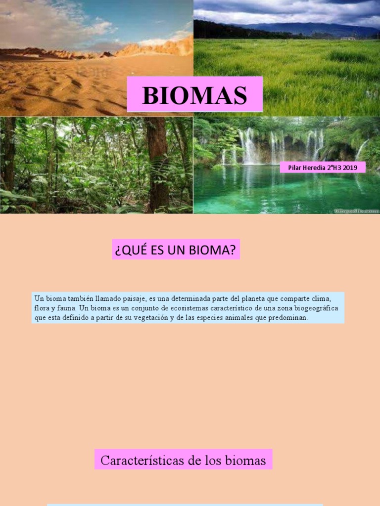 Tipos de biomas y su distribución geográfica | PDF | Ecosistema | Selva