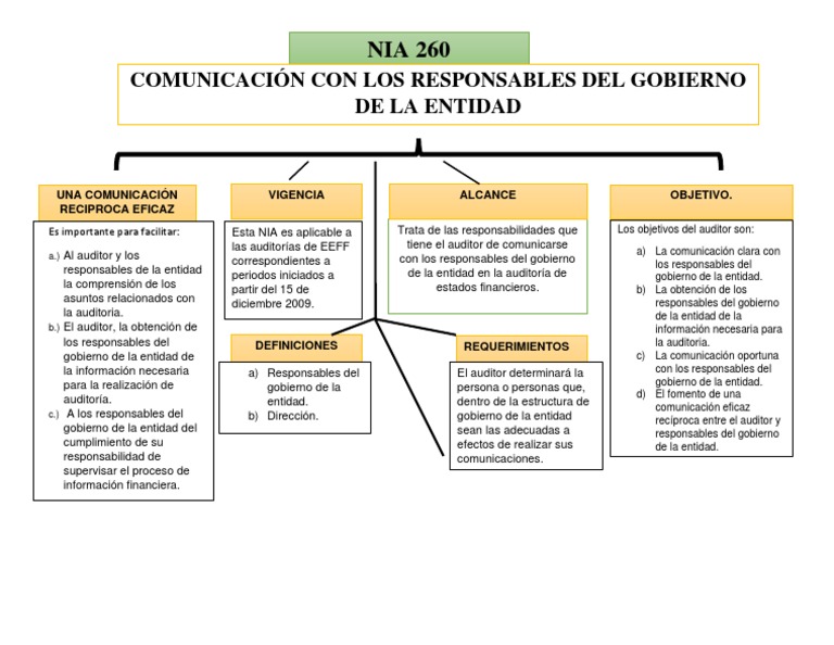 Mapa Mental Nia 260 | PDF | Auditoría | Business