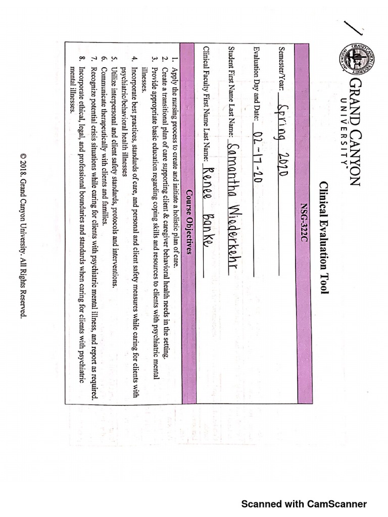 Clinical Evaluation Tool Psych | PDF