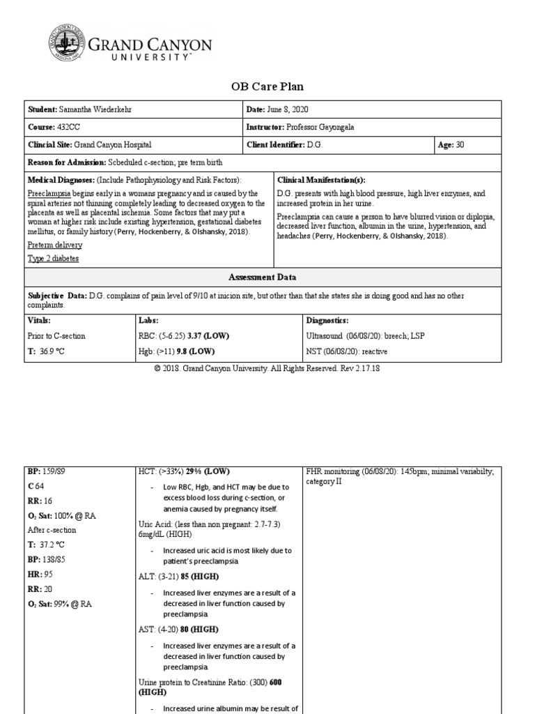 OB Care Plan: Assessment Data | PDF | Wound | Rtt