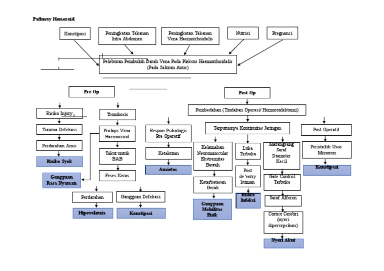 Pathway Hemoroid | PDF