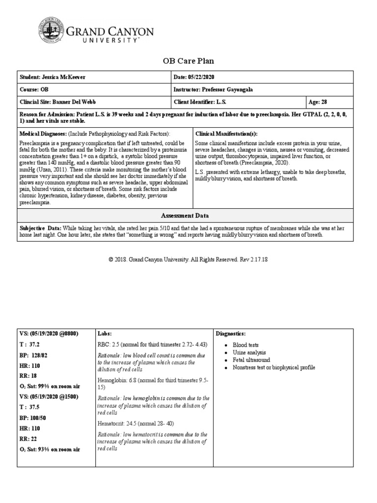 OB Care Plan: Assessment Data | PDF | Childbirth | Blood Pressure