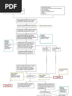 Cellulitis Pathophysiology | PDF | Inflammation | Medical Specialties