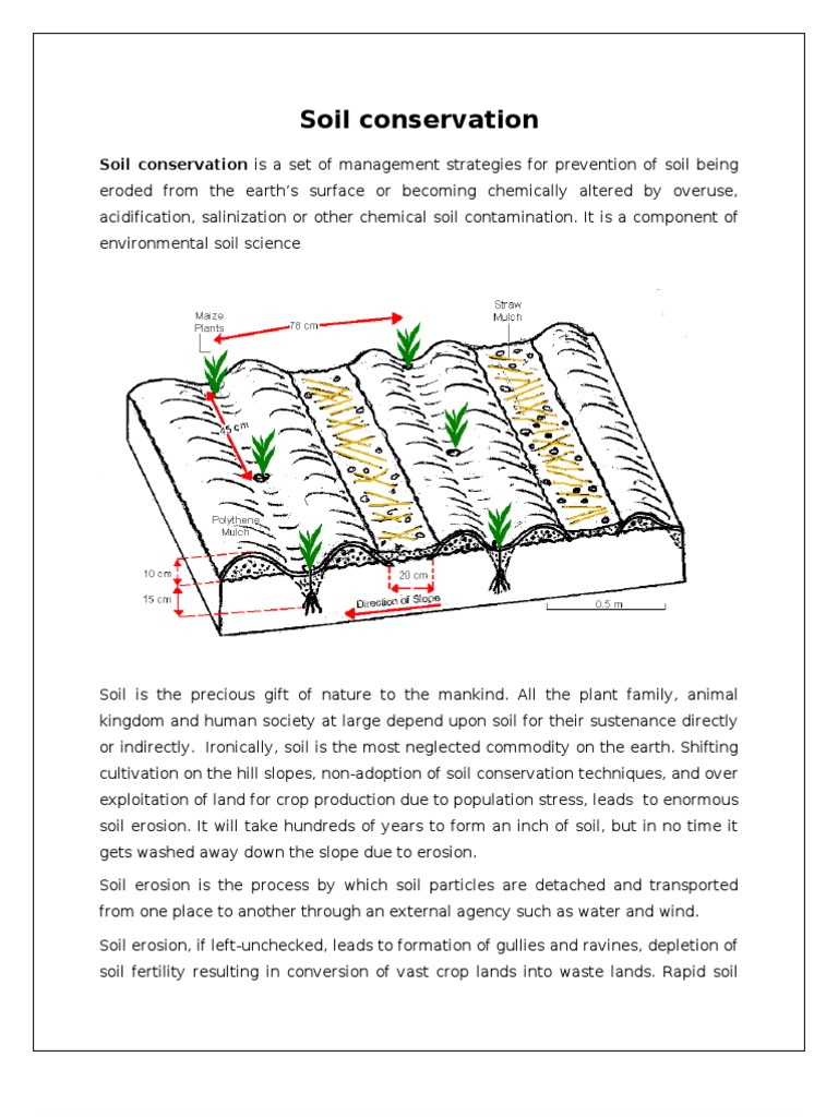 Soil Conservation | PDF | Crop Rotation | Soil