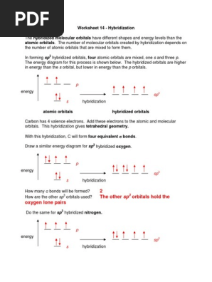 Hybridization Worksheets