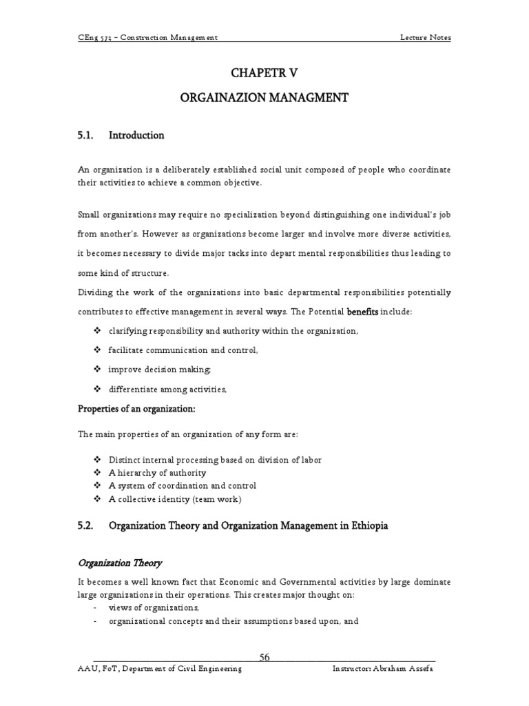 Chapter 5 - Organization MGMT | PDF | Strategic Management | Strategic ...