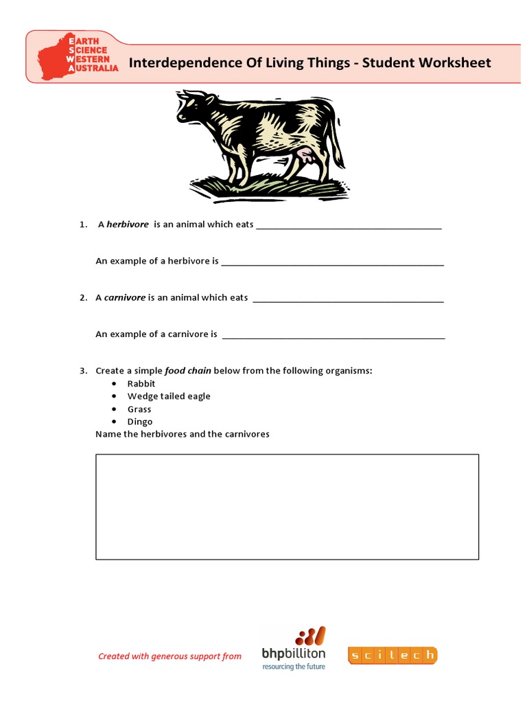 Interdependence of Living Things - Student Worksheet: Created With ...