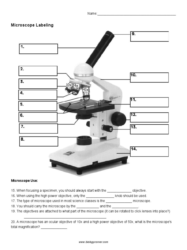 microscope labeling 1