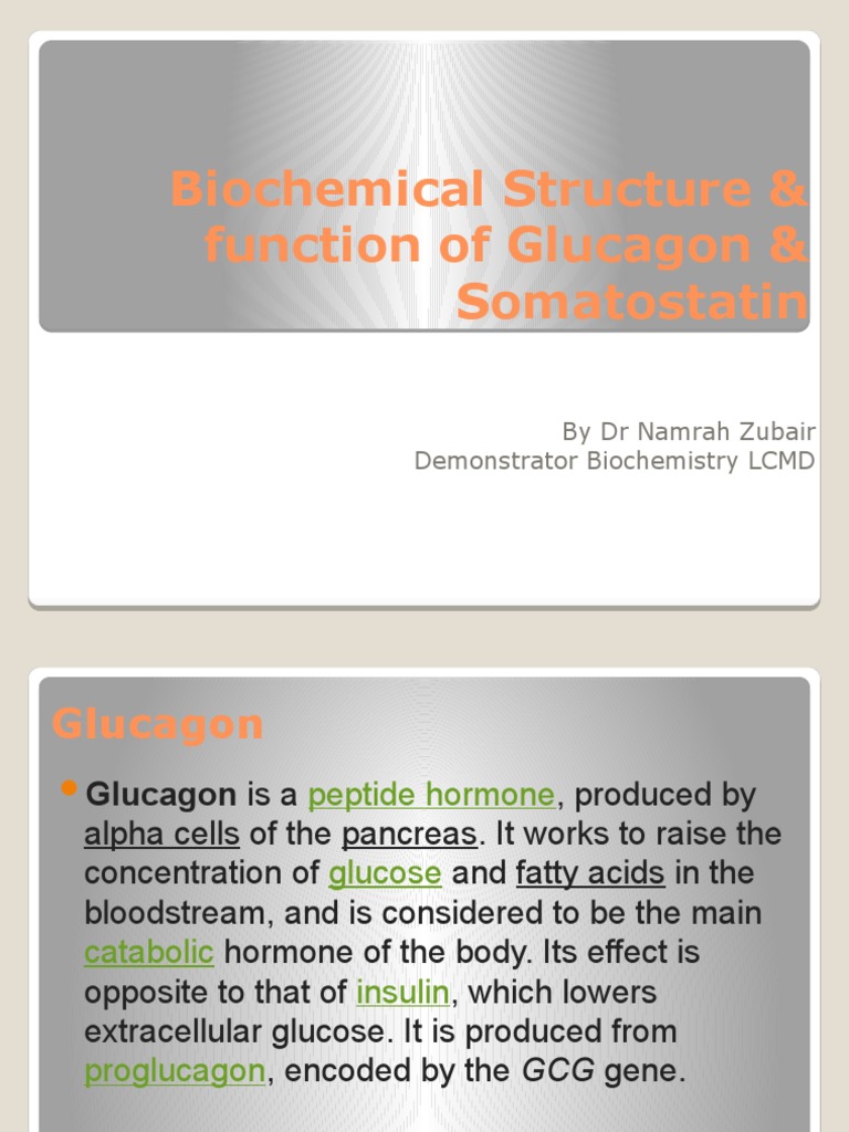 Glucagon and Somatostatin Overview | PDF | Glands | Biochemistry