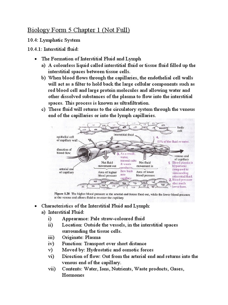 Biology Form 5 Chapter 1 | PDF | Lymph | Lymphatic System