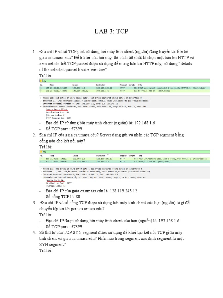BAo Cáo Lab3 TCP | PDF