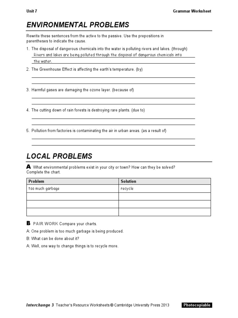 Environmental Problems: Unit 7 Grammar Worksheet | PDF