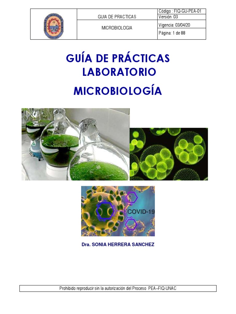 Guía de Prácticas de Microbiología | PDF | Microorganismo | Microbiología