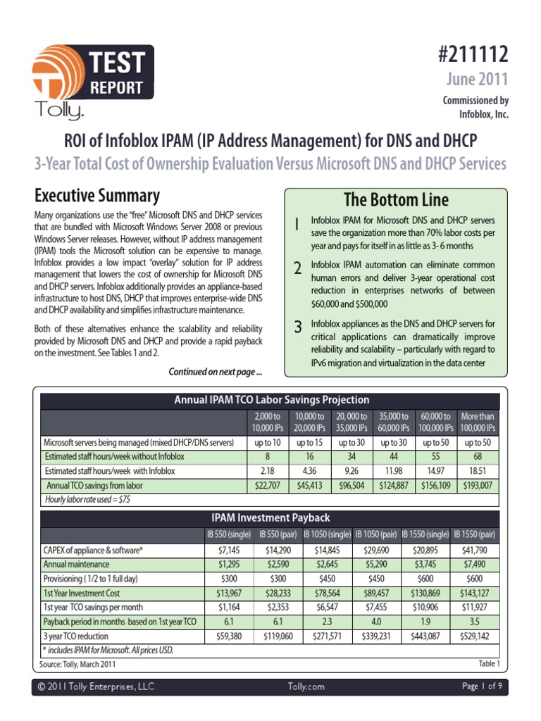 ROI of Infoblox IPAM (IP Address Management) For DNS and DHCP | PDF ...