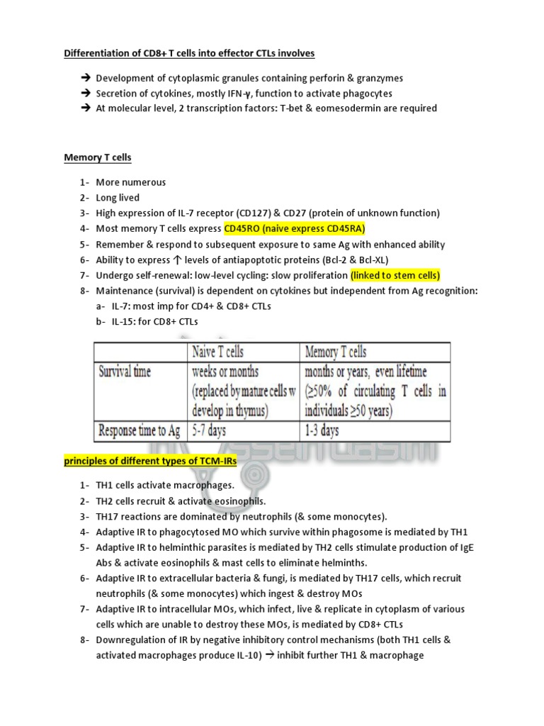 Differentiation of Cd8+ T Cells Into Effector Ctls Involves | PDF | T Helper Cell | Cytotoxic T Cell