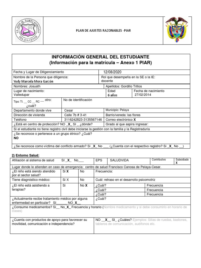 FORMATO PIAR Anexo 1 | PDF | Aprendizaje | Educación avanzada