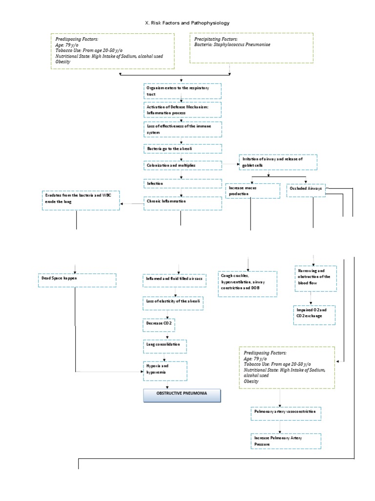 Obstructive Pneumonia Pathophysiology