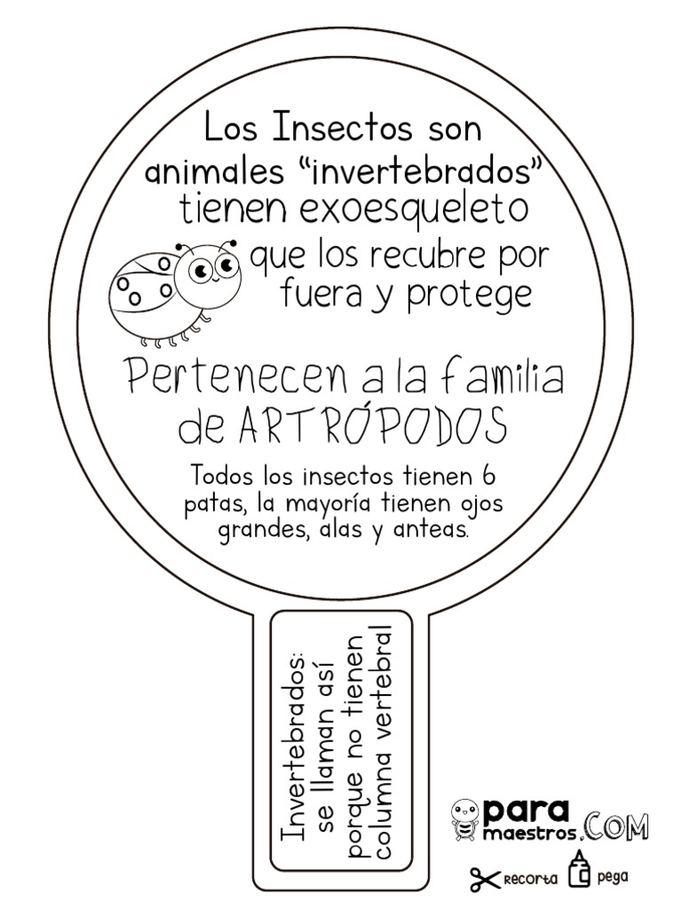 Lupa Insectos Flipbook | PDF