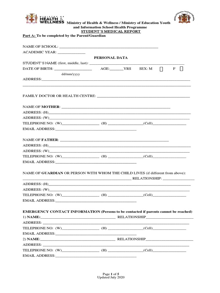 Student Medical Report Form | PDF | Attention Deficit Hyperactivity ...