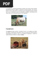 Omnívoros | PDF | Herbívoro | Alimentos