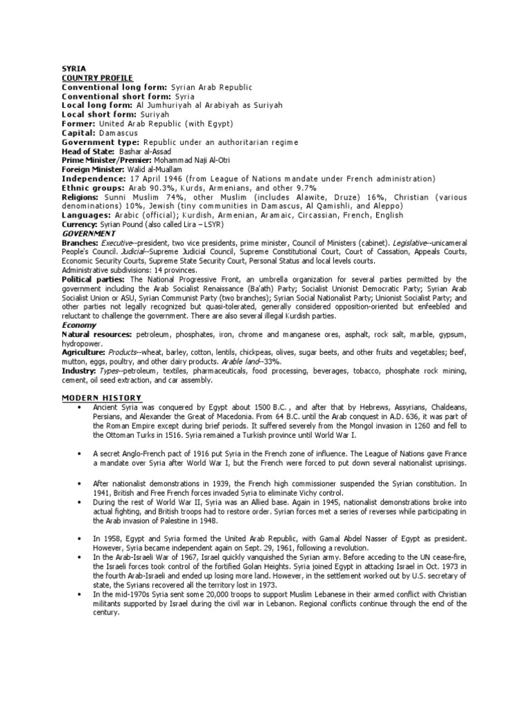 IS41 Report - SYRIA Outline | PDF | Syria | Lebanon