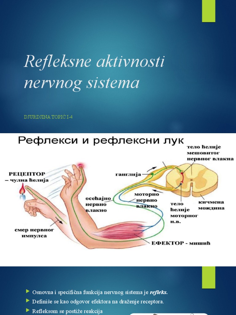 REFLEKSI | PDF