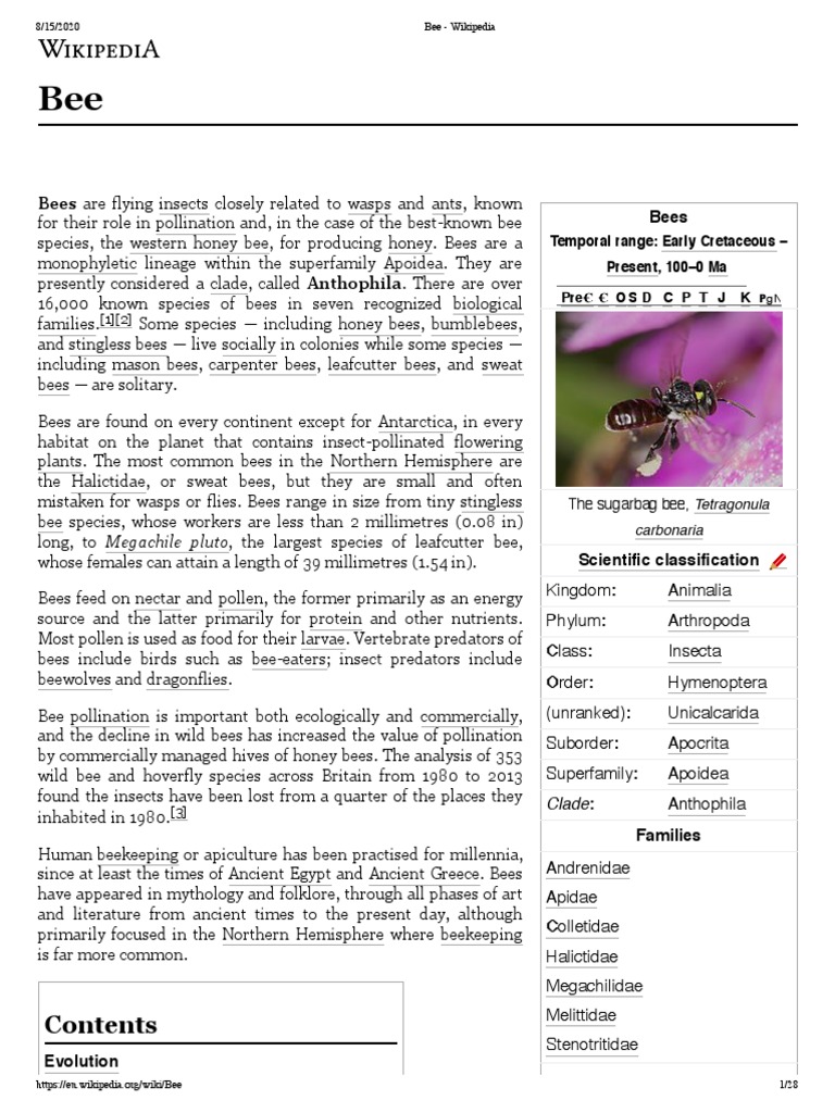 Bee Family PDF | PDF | Bees | Eusociality
