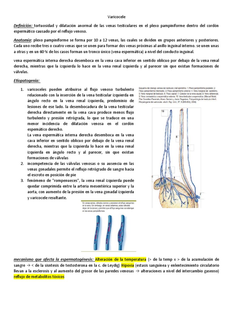 Varicocele | PDF | Vena | Especialidades Medicas