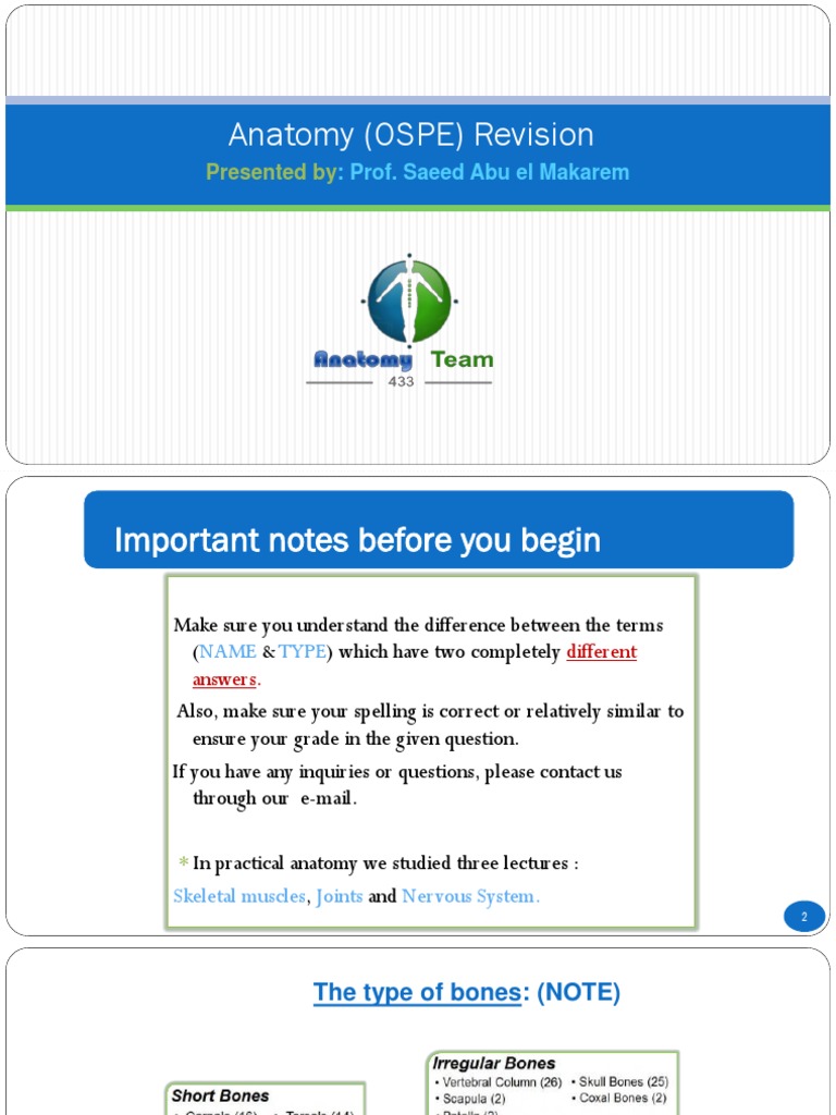 Anatomy OSPE Revision Guide | PDF | Anatomical Terms Of Motion ...