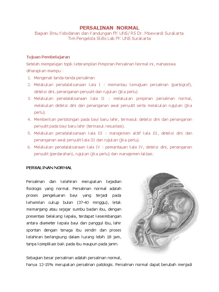 Persalinan Normal | PDF