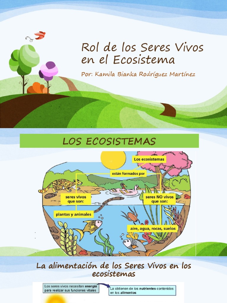 Seres Vivos en El Ecosistema | PDF | Plantas | Organismos