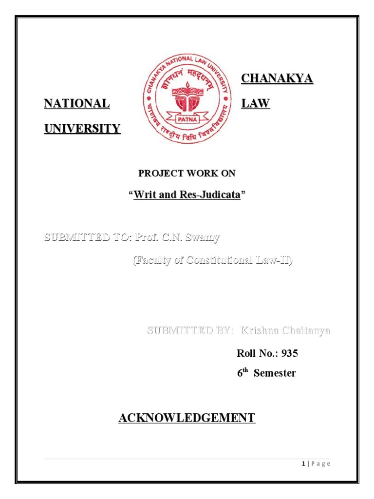 Constitution Project | PDF