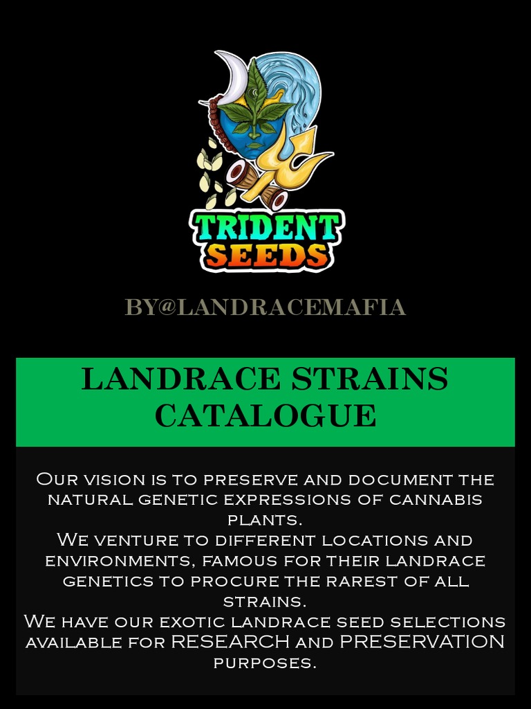 Native Varieties of India | Download Free PDF | Cannabis | Botany