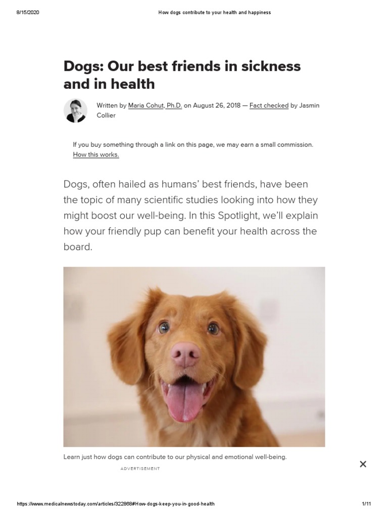 How Dogs Contribute To Your Health and Happiness | PDF | Dogs ...