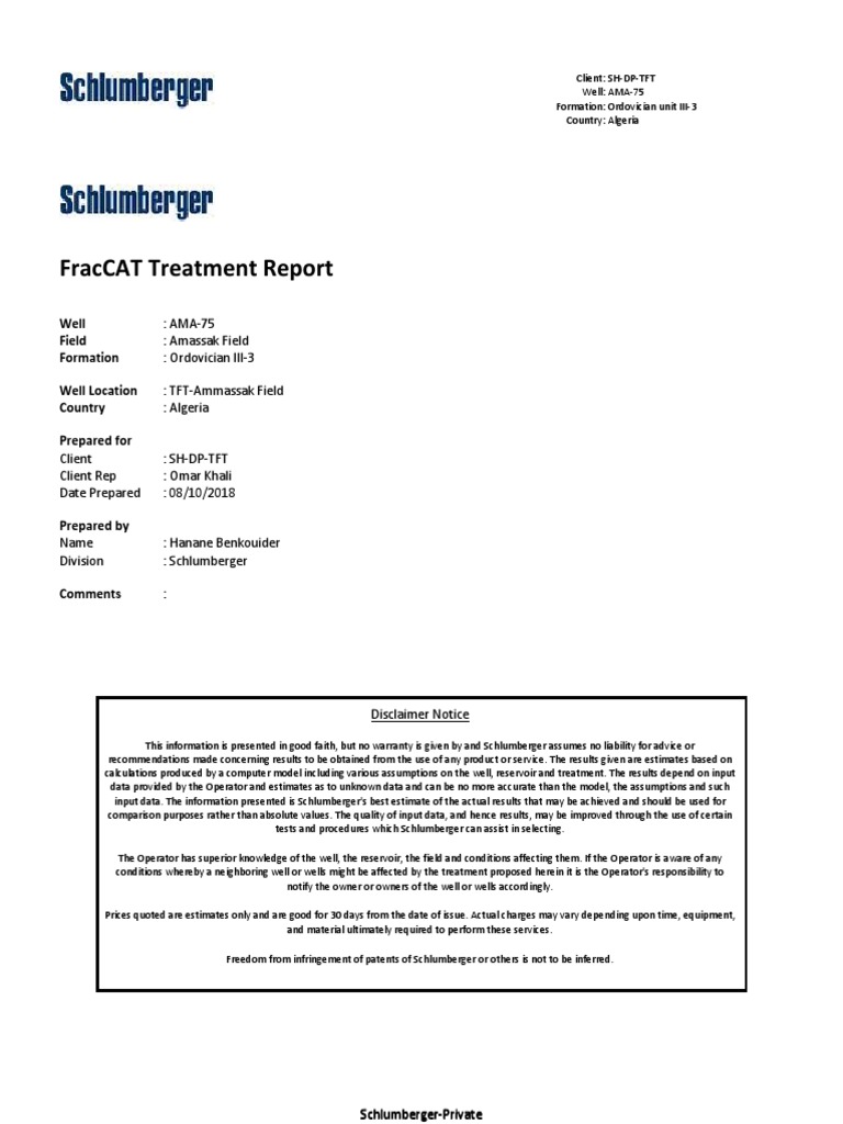 AMA-75 Main Frac FracCAT Report PDF | PDF | Pump | Nature