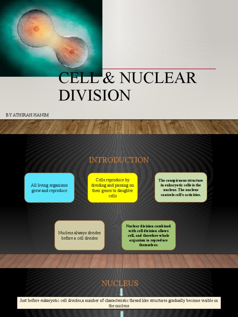 Cell & Nuclear Division | PDF | Meiosis | Mitosis