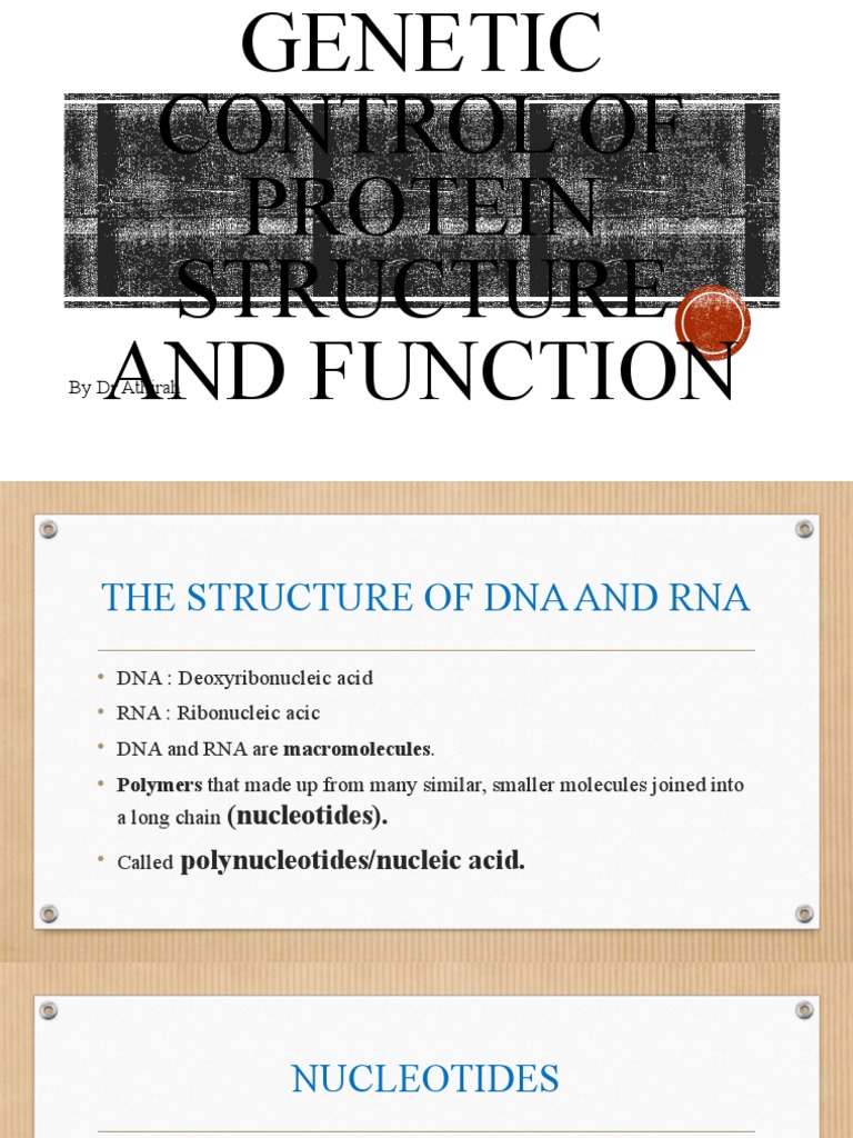 Exploring the Genetic Control of Protein Structure and Function Through the Molecular Processes ...