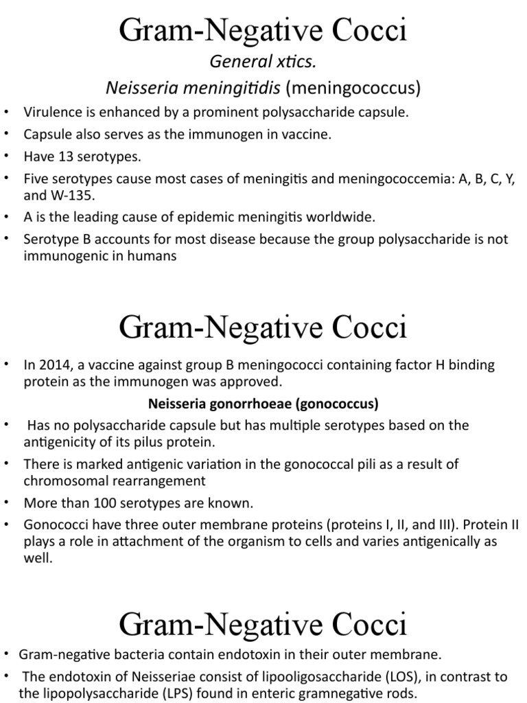 General Xtics. Neisseria Meningitidis (Meningococcus) : Gram-Negative ...