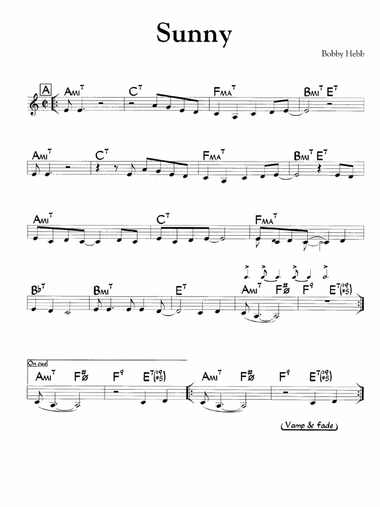 Sunny | PDF