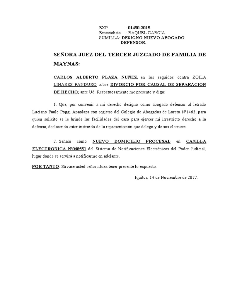 Designo Abogado Defensor | PDF