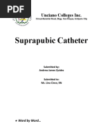 Bladder Washout SOP for Clinicians | PDF | Catheter | Clinical Medicine