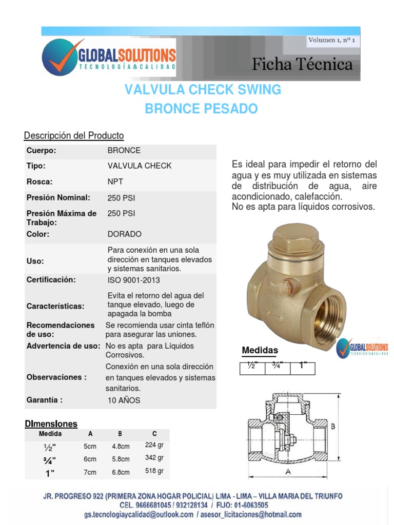 Valvula Check Swing PDF | PDF