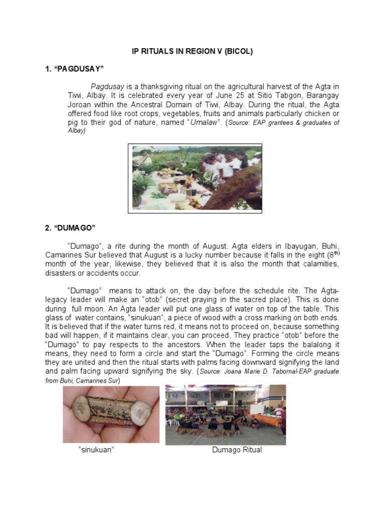 Pagdusay Is A Thanksgiving Ritual On The Agricultural Harvest of The ...