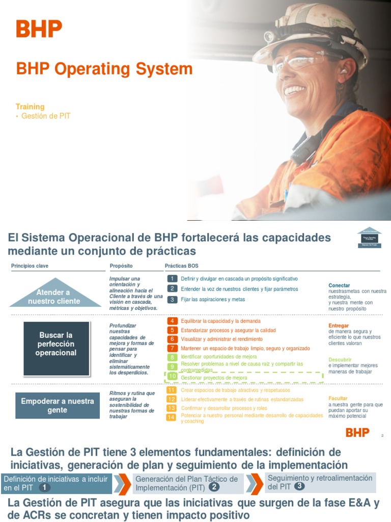 Practica 10. Gestión de PIT | PDF | Business | Science