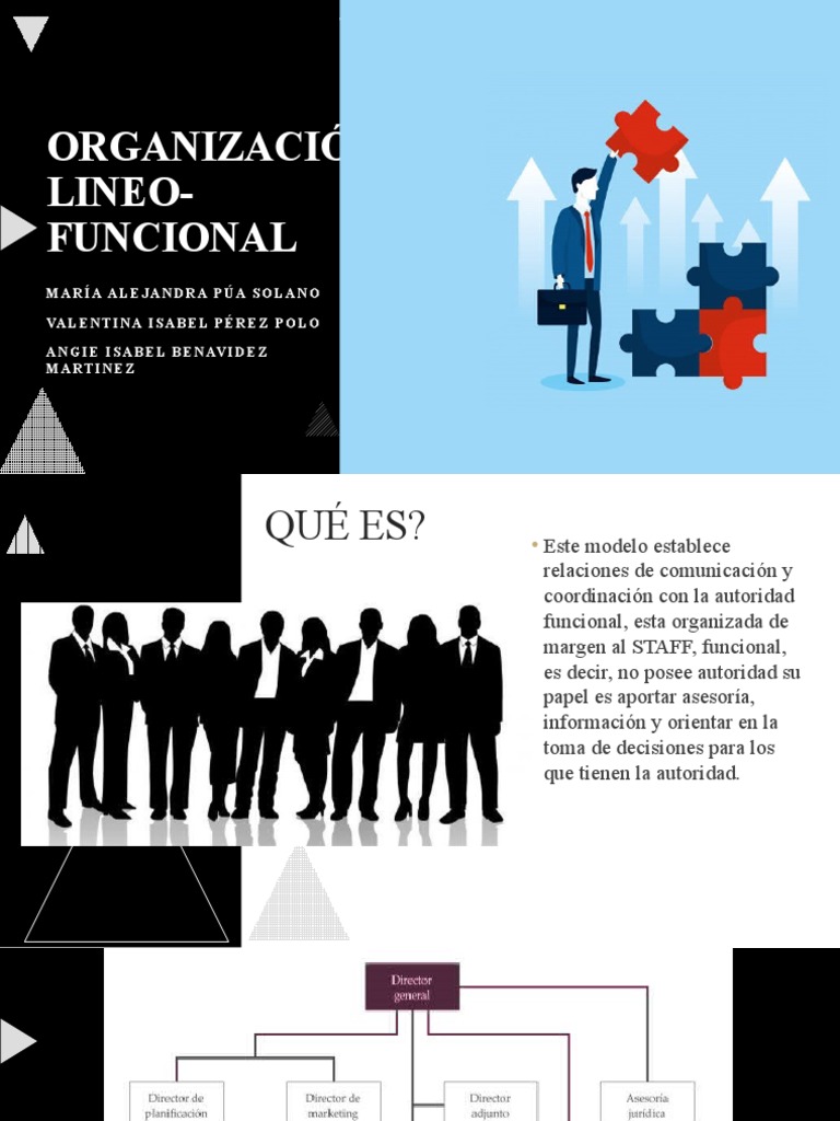 Organización Lineo-Funcional | PDF