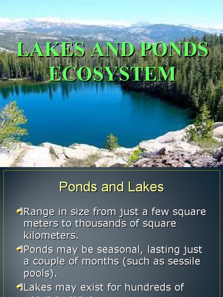 Lakes and Ponds Ecosystem | PDF | Lake | Aquatic Ecology