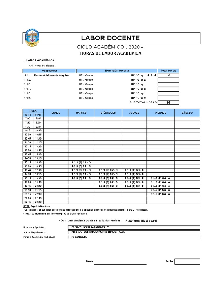 Carga Horaria Docente 2025 Pdf